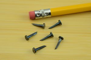 Cut Blued Upholsterers Tacks - Upholstery – D. B. Gurney Company